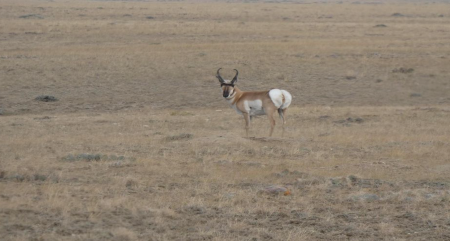 35.10-Acre Wytex Ranch in Rock River, Wyoming – Nick Gromicko